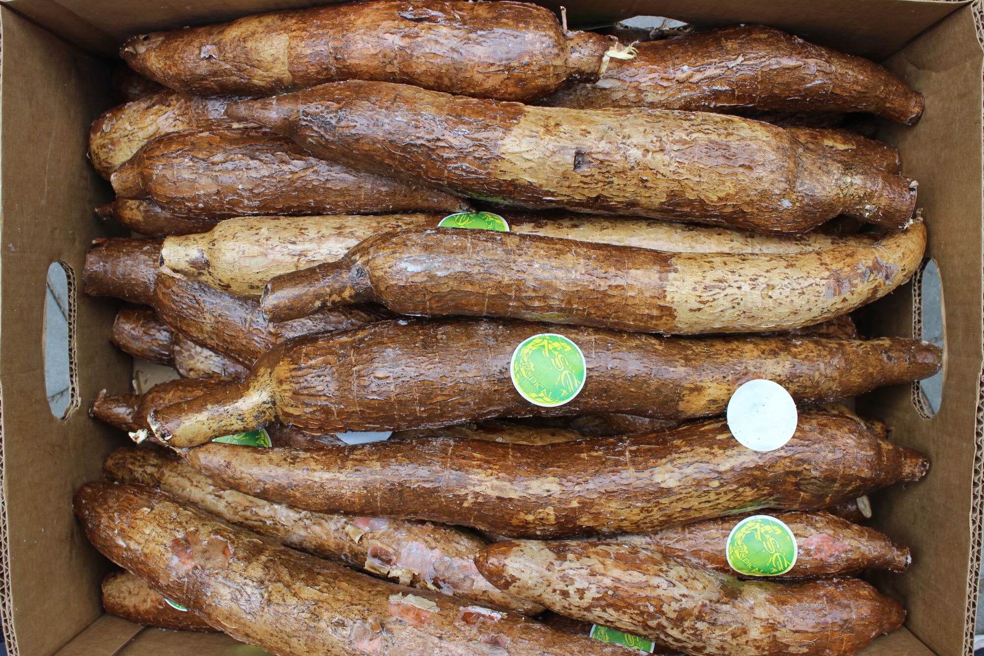 Maniok - http://www.littleindia.pl/